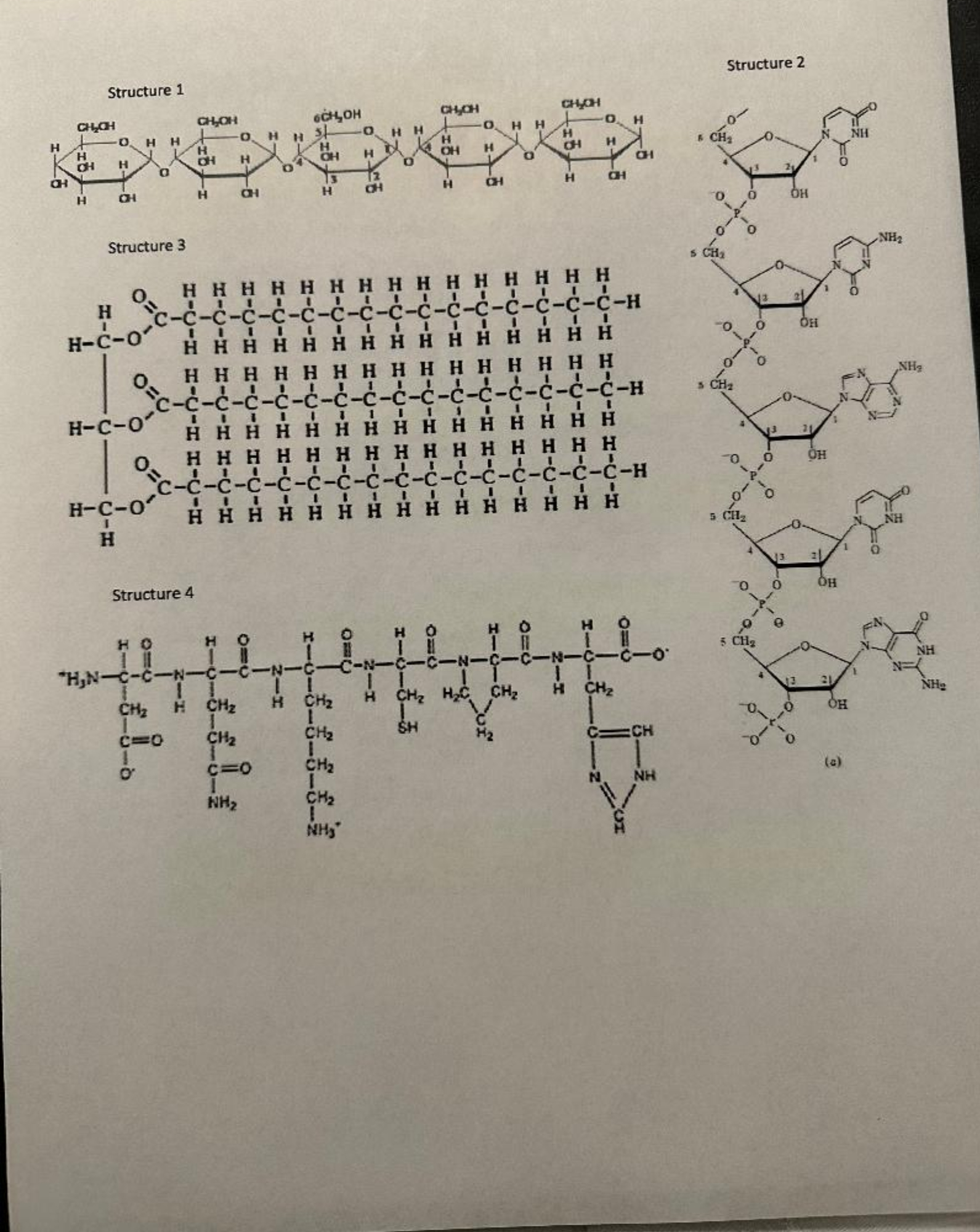 Solved For each structures pictured on the next page, answer | Chegg.com