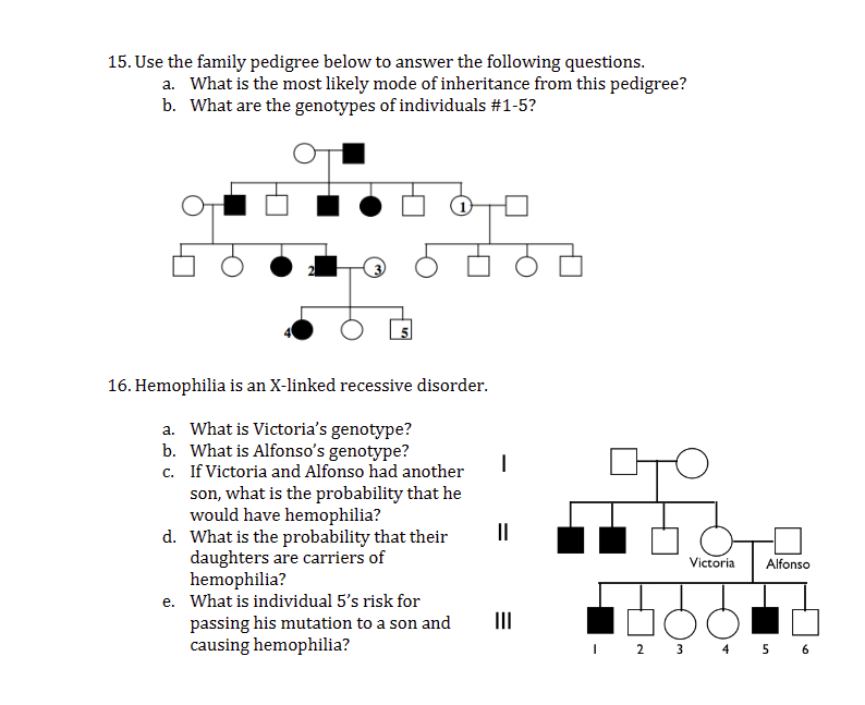 Solved Use the family pedigree below to answer the following | Chegg.com