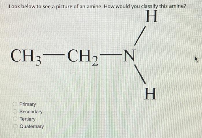 Solved Look below to see a picture of a molecule. What is | Chegg.com