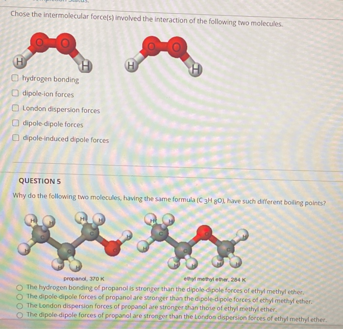 Solved С dipole-dipole forces hydrogen bonding dipole-ion | Chegg.com