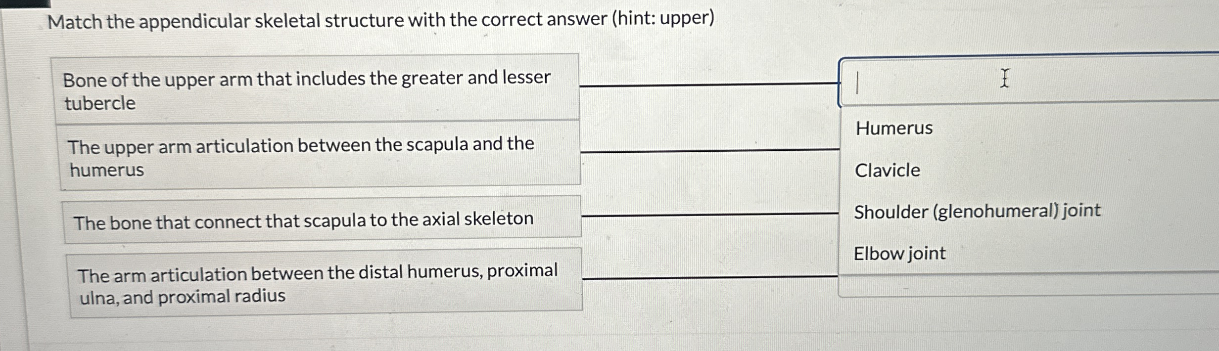 Solved Match the appendicular skeletal structure with the | Chegg.com