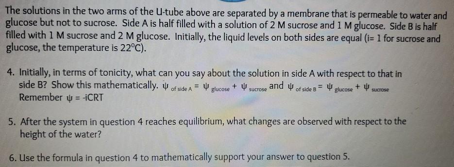 Solved 5 Side A Side B Sucrose = 2M Glucose = 1M Sucrose = 1 | Chegg.com