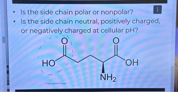 Solved Is the side chain polar or nonpolar? - Is the side | Chegg.com