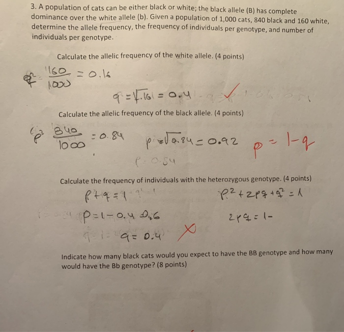 Solved 3. A population of cats can be either black or white; | Chegg.com