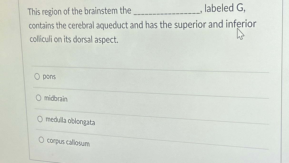 Solved This region of the brainstem the labeled G, ﻿contains | Chegg.com