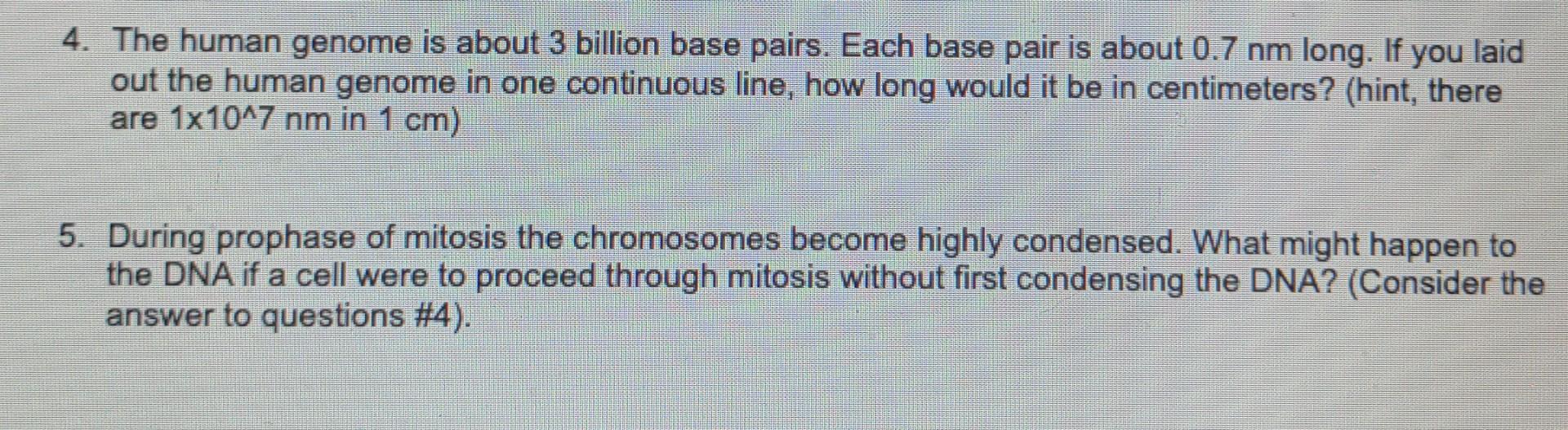 Solved 4. The human genome is about 3 billion base pairs. | Chegg.com