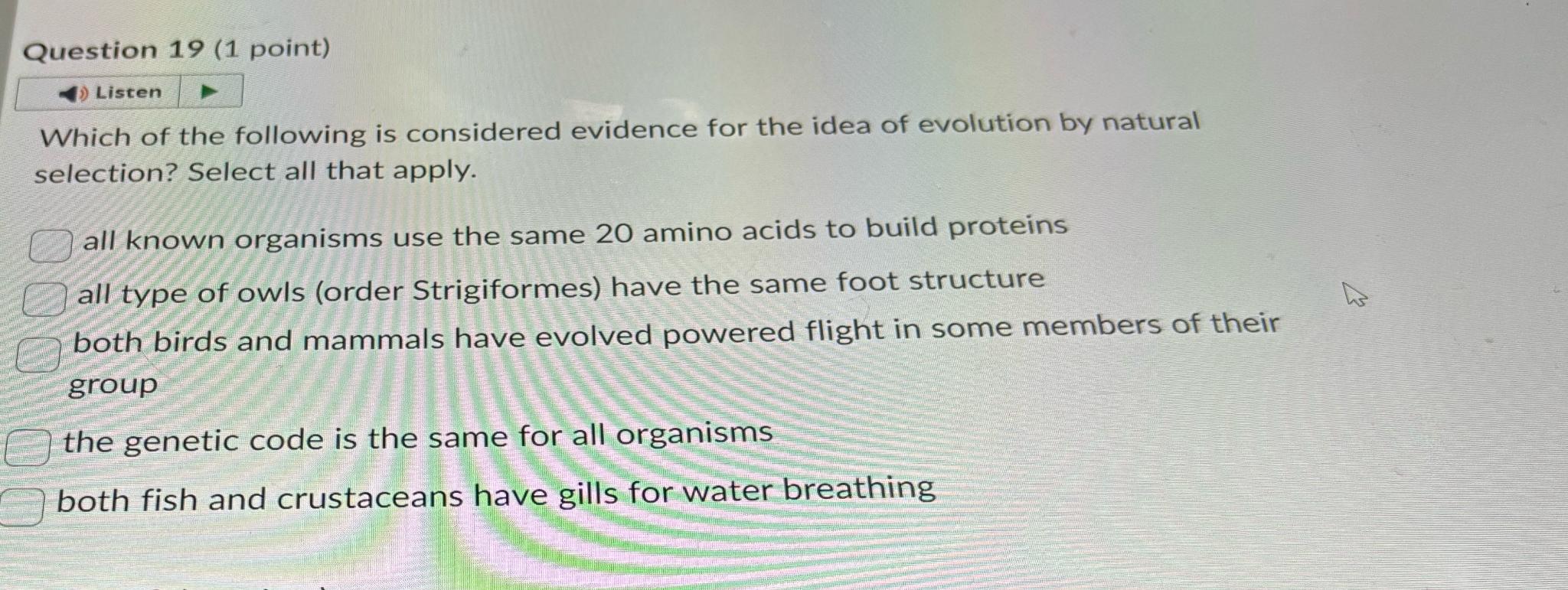 Solved Question 19 (1 ﻿point)ListenWhich of the following is | Chegg.com