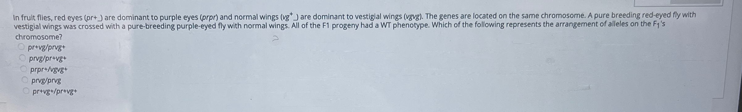 Solved In fruit flies, red eyes ( pr+ ) ﻿are dominant to | Chegg.com