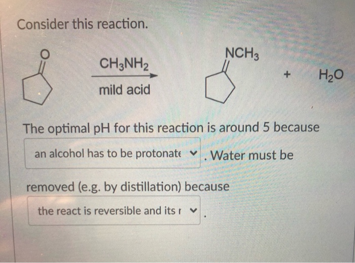 Solved Consider this reaction. O NCH3 CH3NH2 + H2O mild acid | Chegg.com