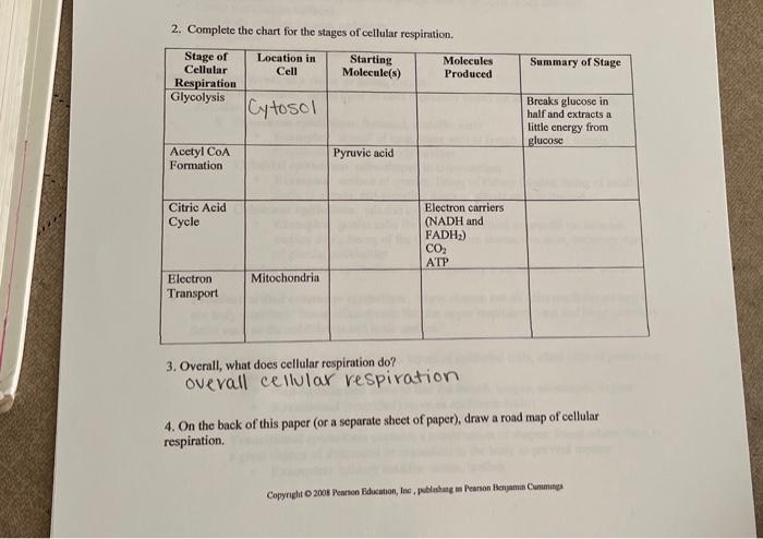 Solved Summary of Stage 2. Complete the chart for the stages | Chegg.com