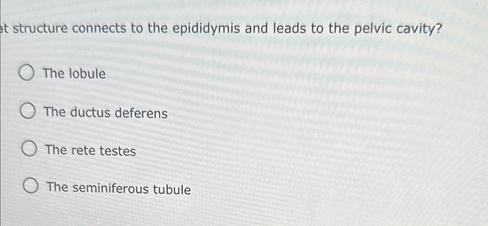 Solved tr structure connects to the epididymis and leads to | Chegg.com