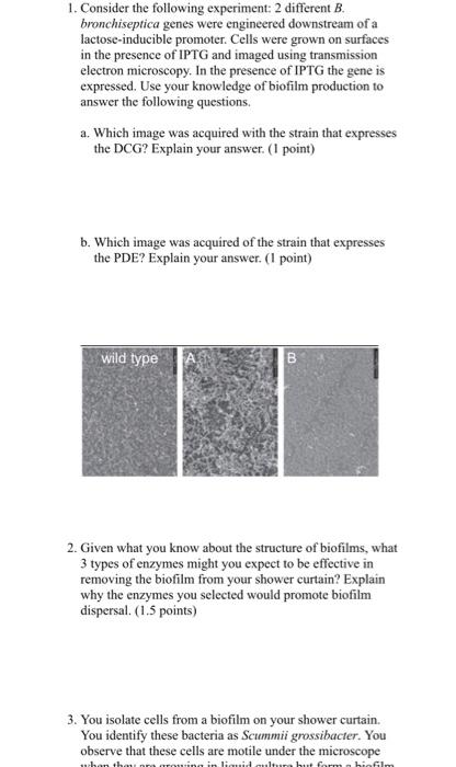 1. Consider the following experiment: 2 different B. | Chegg.com
