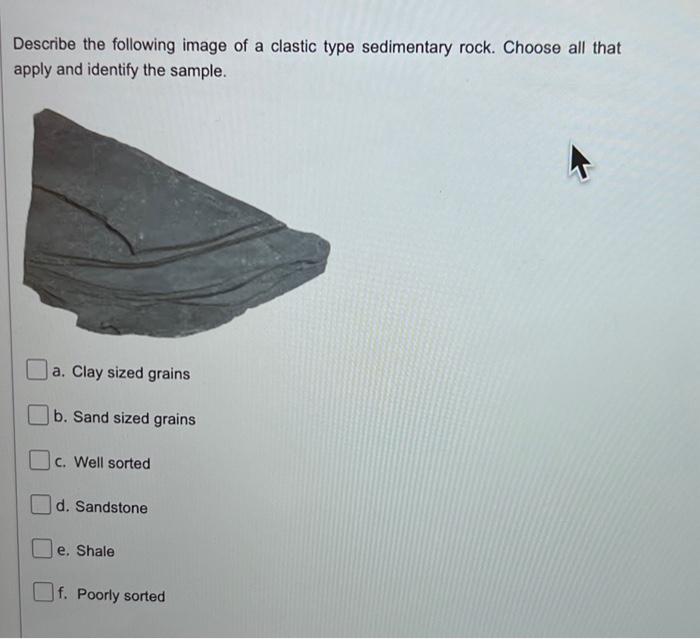 Solved Describe the following image of a clastic type | Chegg.com
