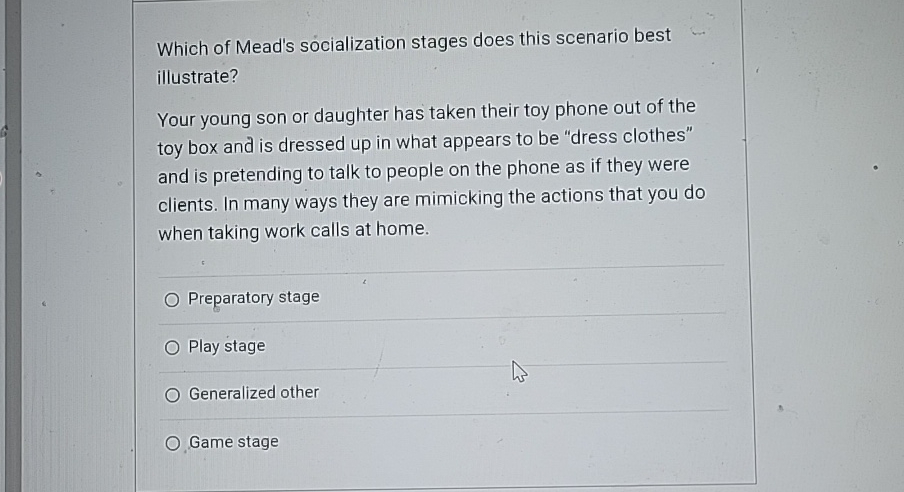 Solved Which of Mead's socialization stages does this | Chegg.com