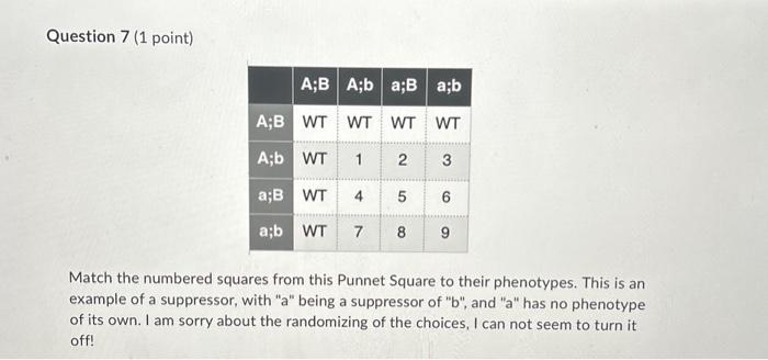 Solved Question 7 (1 point) Match the numbered squares from | Chegg.com