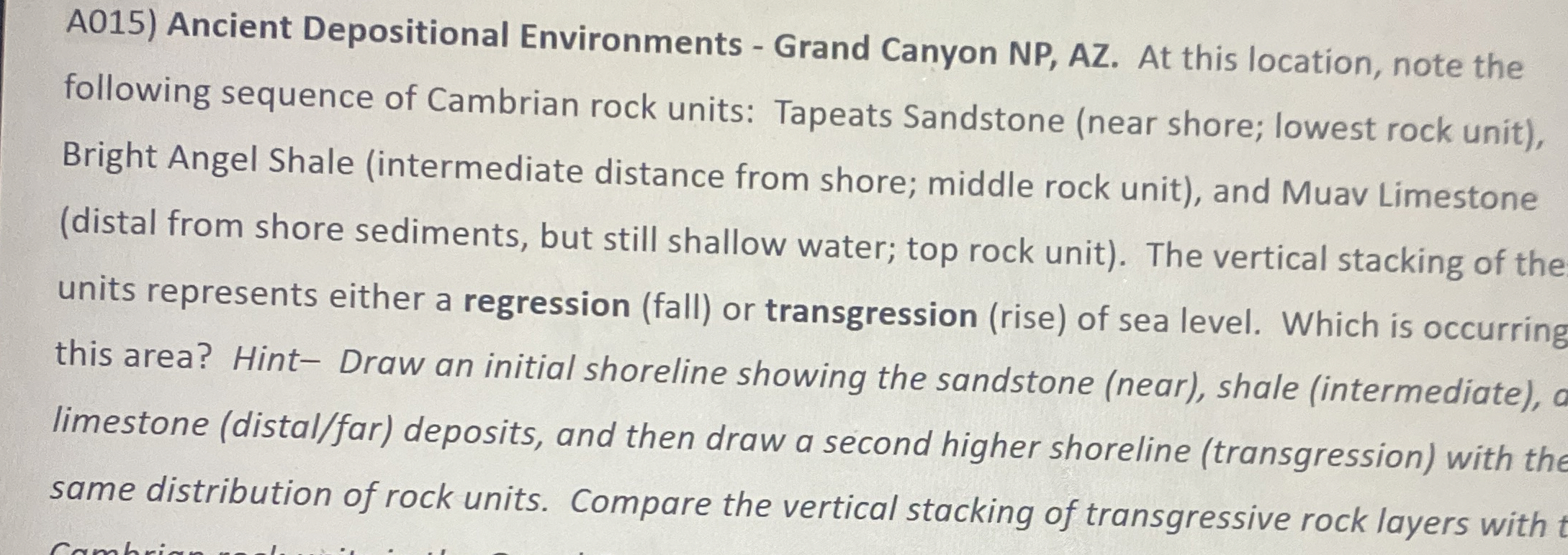 Solved A015) ﻿Ancient Depositional Environments - ﻿Grand | Chegg.com