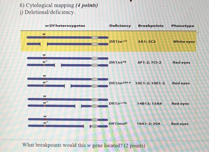Solved ii) Duplication mapping What breakpoints would this w | Chegg.com