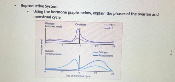 Solved Reproductive System - Using the hormone graphs below, | Chegg.com