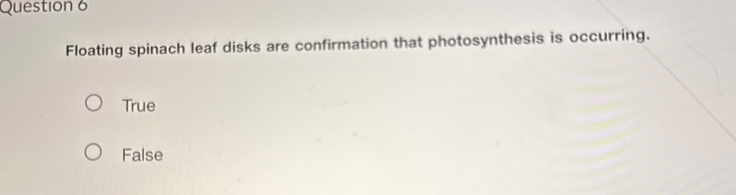Solved Question 6Floating spinach leaf disks are | Chegg.com