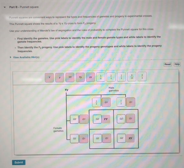 Solved Part B - ﻿Punnett squarePunnell squares are | Chegg.com