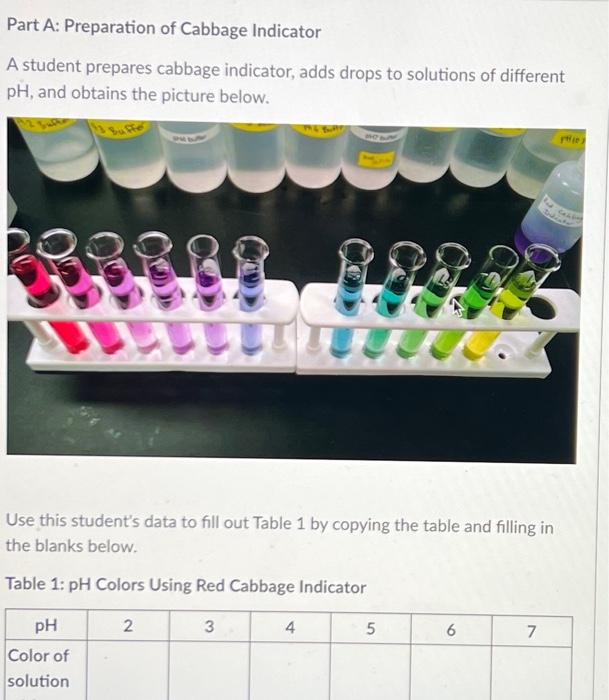 Part A: Preparation of Cabbage Indicator A student | Chegg.com