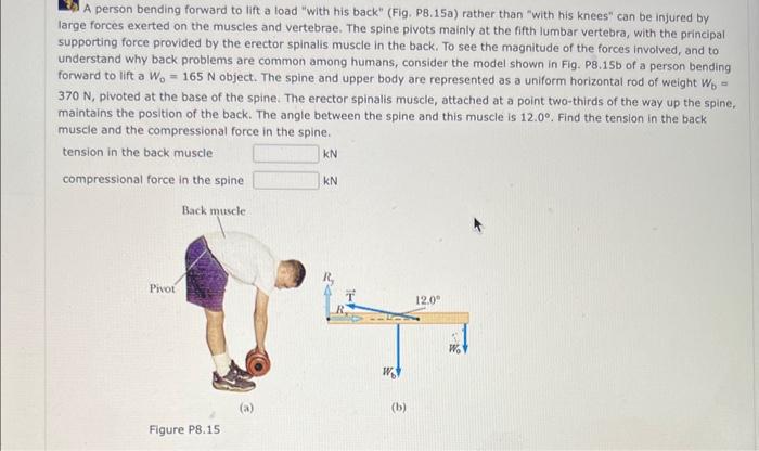 Solved A person bending forward to lift a load "with his | Chegg.com