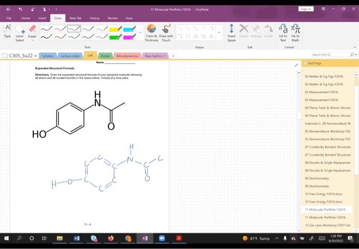Solved I need help with creating a expanded skeletal | Chegg.com