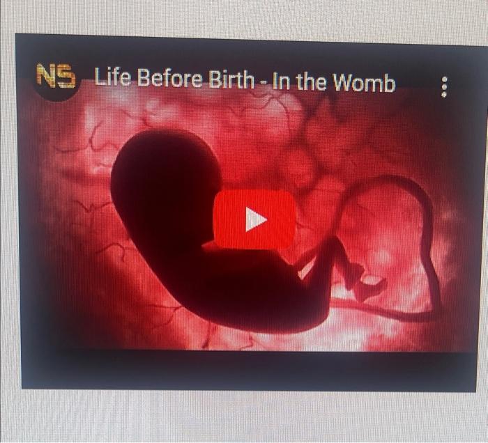 Solved NS Life Before Birth - In the Womb :Students, the | Chegg.com