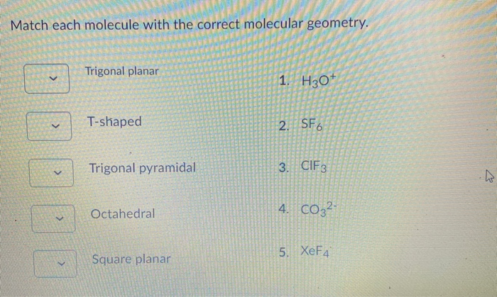 Solved Match each molecule with the correct molecular | Chegg.com