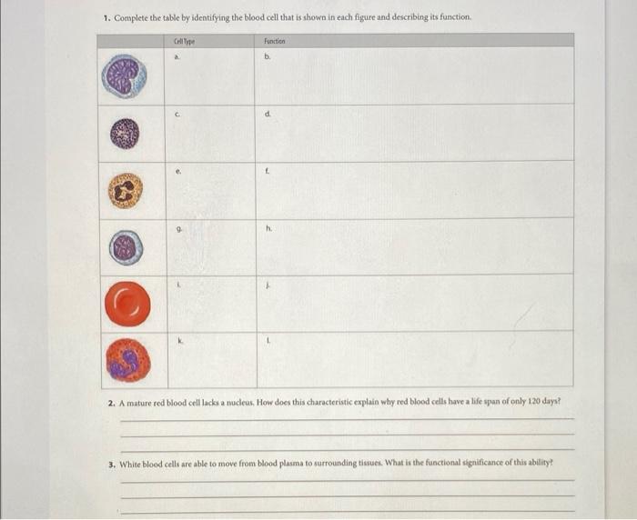 Solved 1. Complete the table by identifying the blood cell | Chegg.com