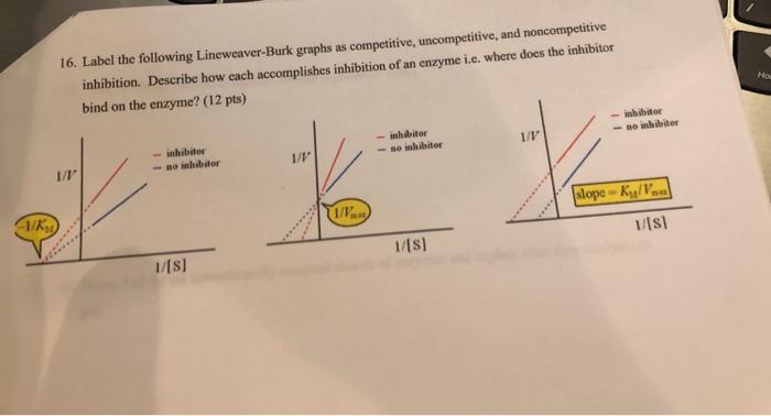 Solved How 16. Label the following Lineweaver-Burk graphs as | Chegg.com
