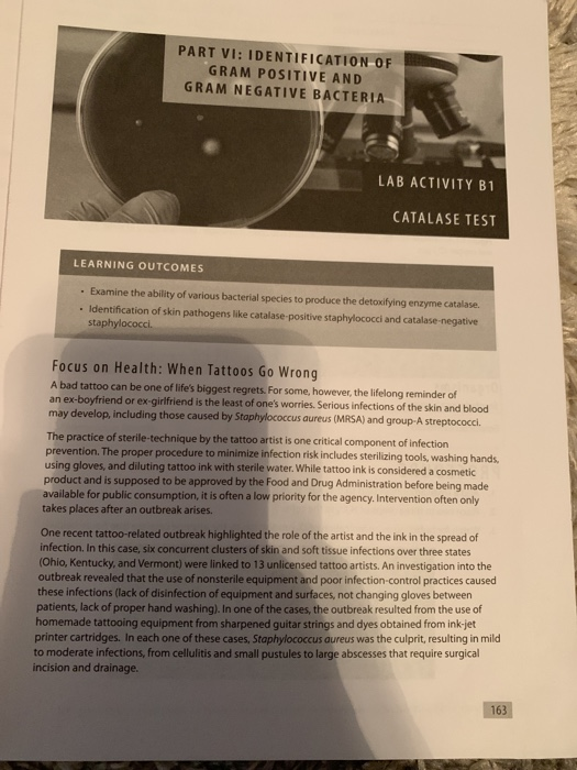 Solved PART VI: IDENTIFICATION OF GRAM POSITIVE AND GRAM | Chegg.com
