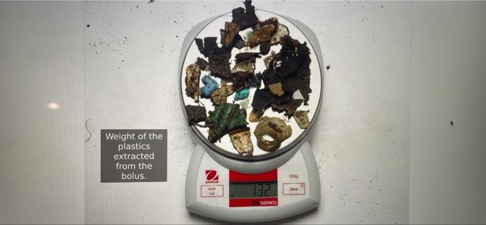 Solved View the photos to gather information regarding the | Chegg.com