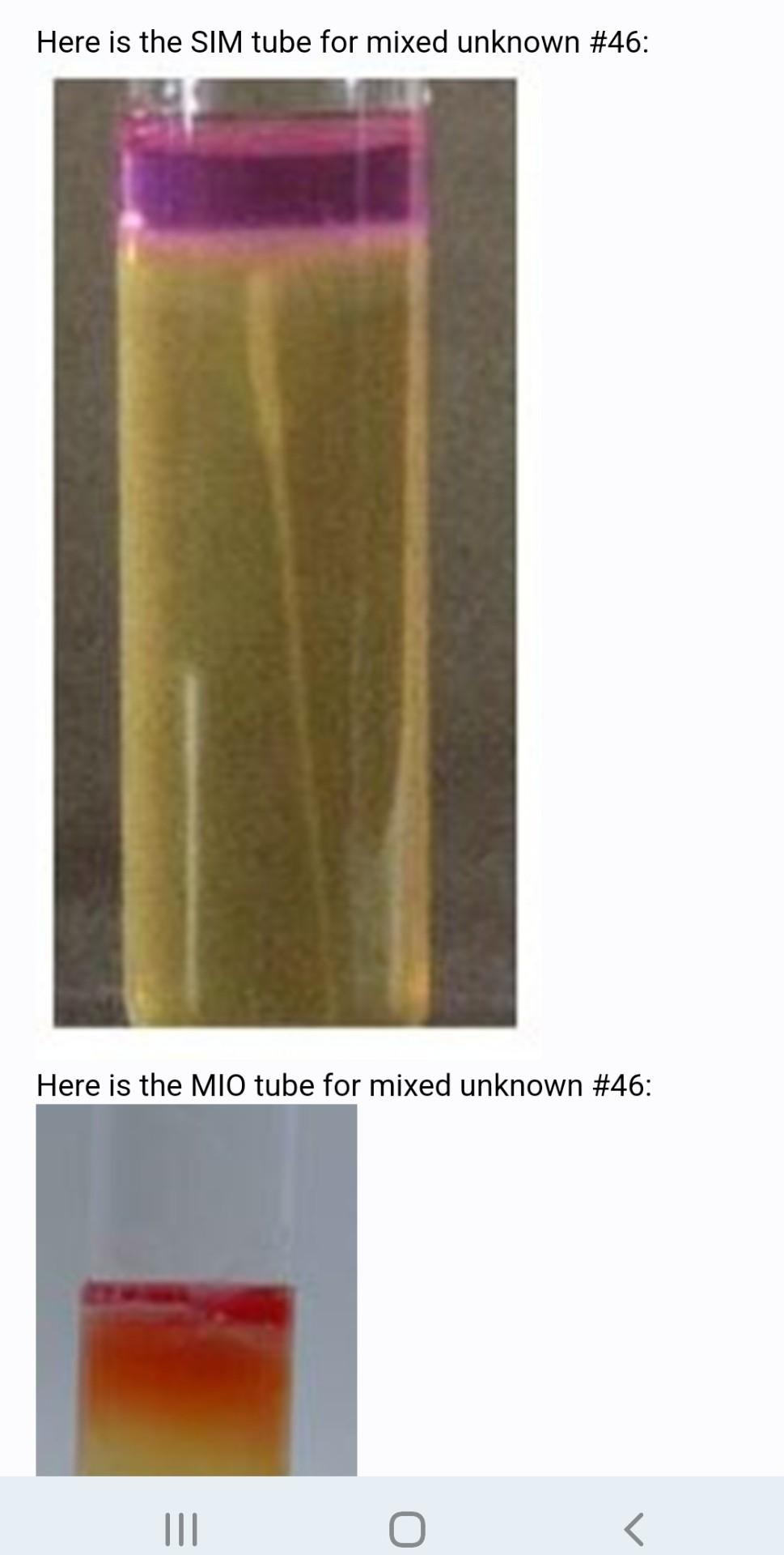 Solved Here is the SIM tube for mixed unknown #46: Here is | Chegg.com