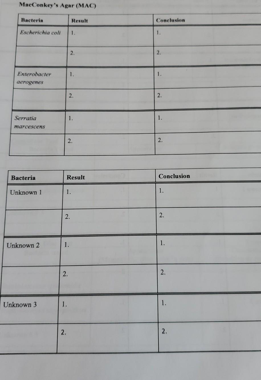 Solved 1. MacConkey Agar results: Lactose fermenting | Chegg.com