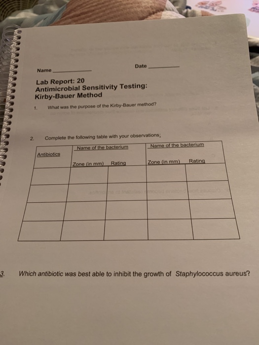 Solved Date Name Lab Report: 20 Antimicrobial Sensitivity | Chegg.com