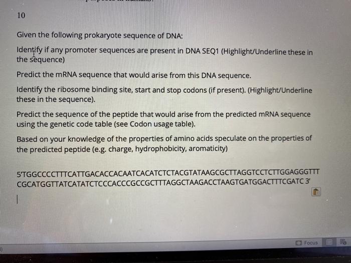 Solved 10 Given the following prokaryote sequence of DNA: | Chegg.com