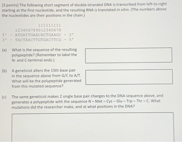 Solved [ 3 points] The following short segment of | Chegg.com