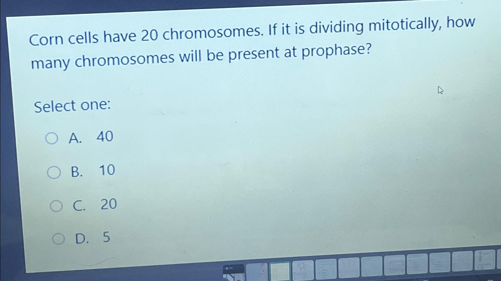 Solved Corn cells have 20 ﻿chromosomes. If it is dividing | Chegg.com