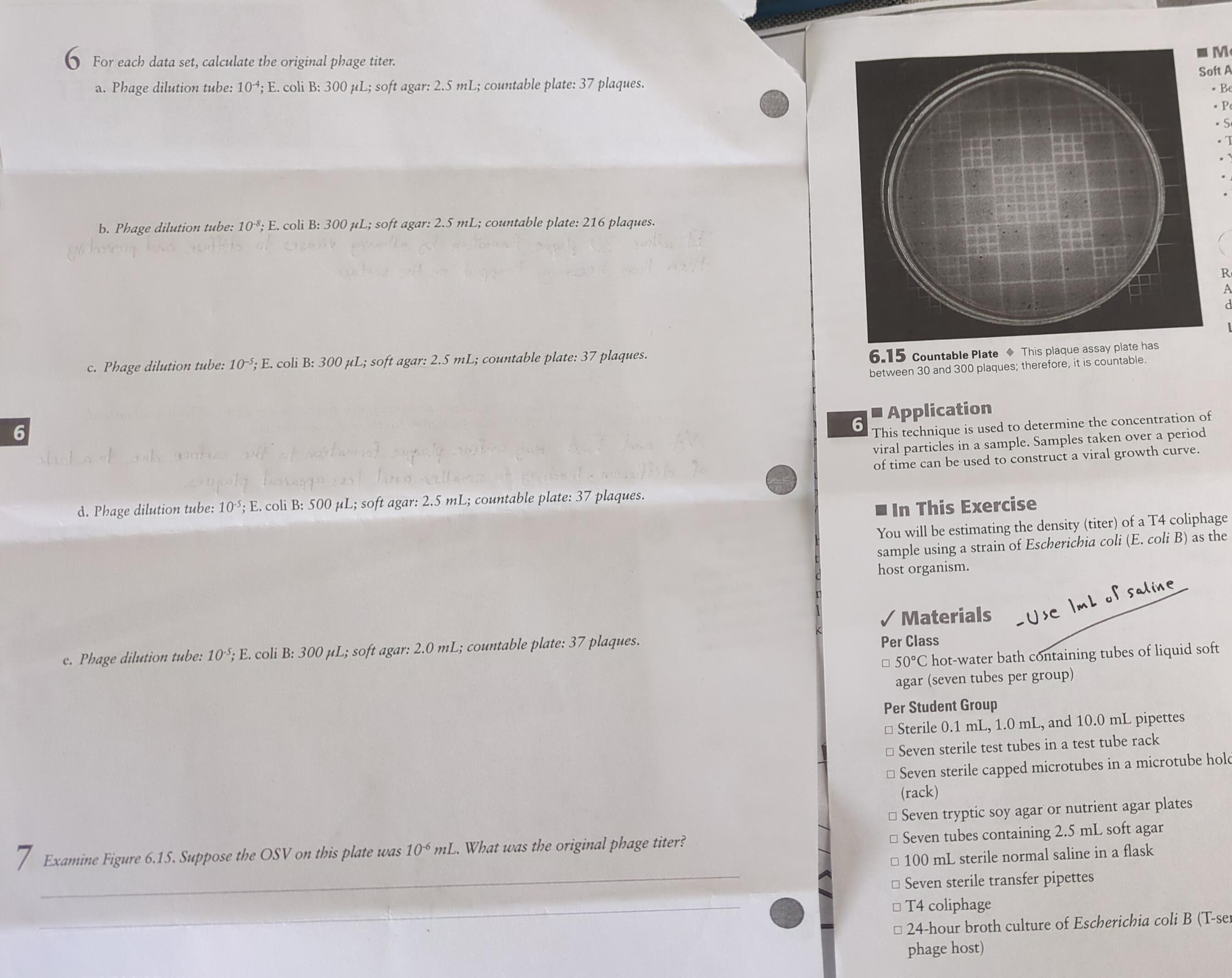 Solved 6 ﻿For each data set, calculate the original phage | Chegg.com