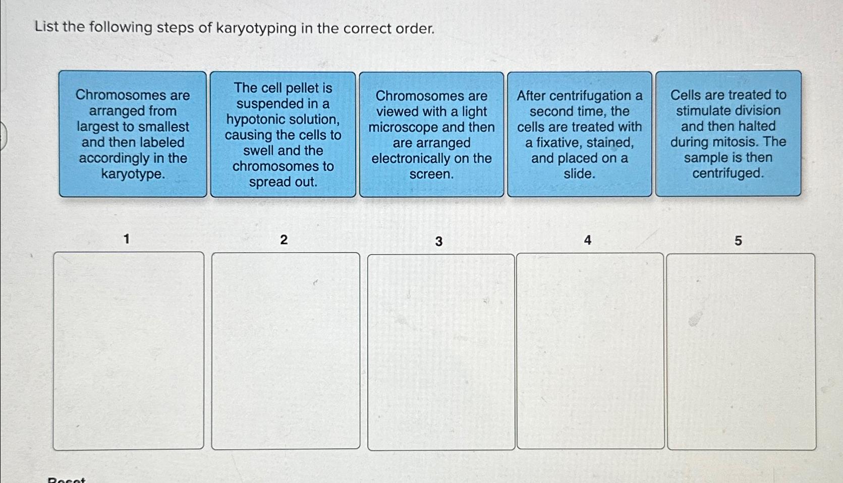 Solved List the following steps of karyotyping in the | Chegg.com