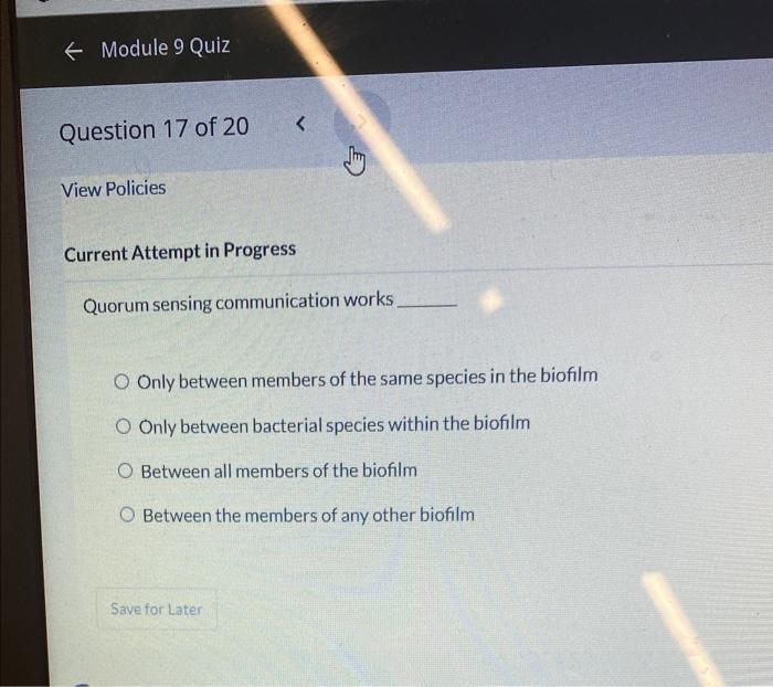 Solved Quorum sensing communication works Only between | Chegg.com