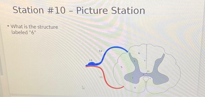 Solved tation \#1 - Description Station I contain cell | Chegg.com
