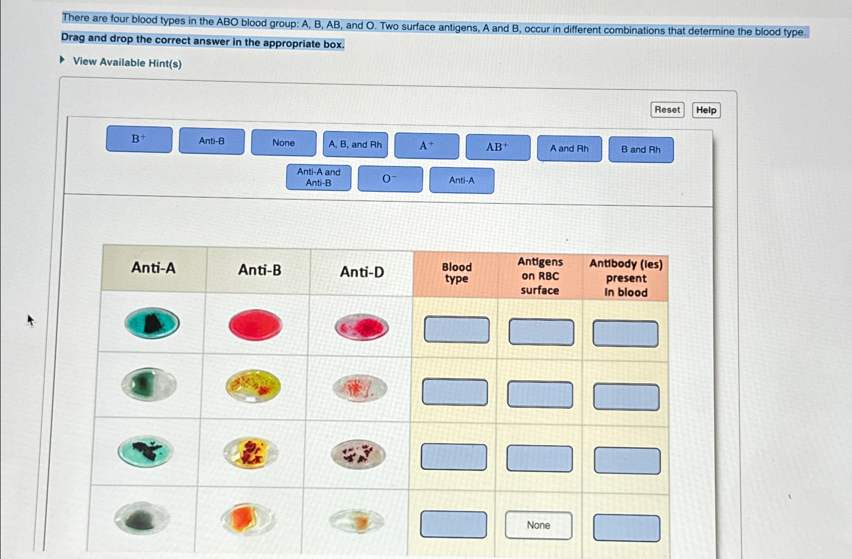 Solved There are four blood types in the ABO blood group: A, | Chegg.com