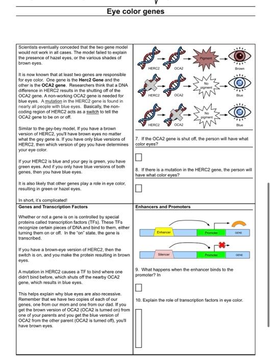 Solved Eye color genes Scientists eventually conceded that | Chegg.com