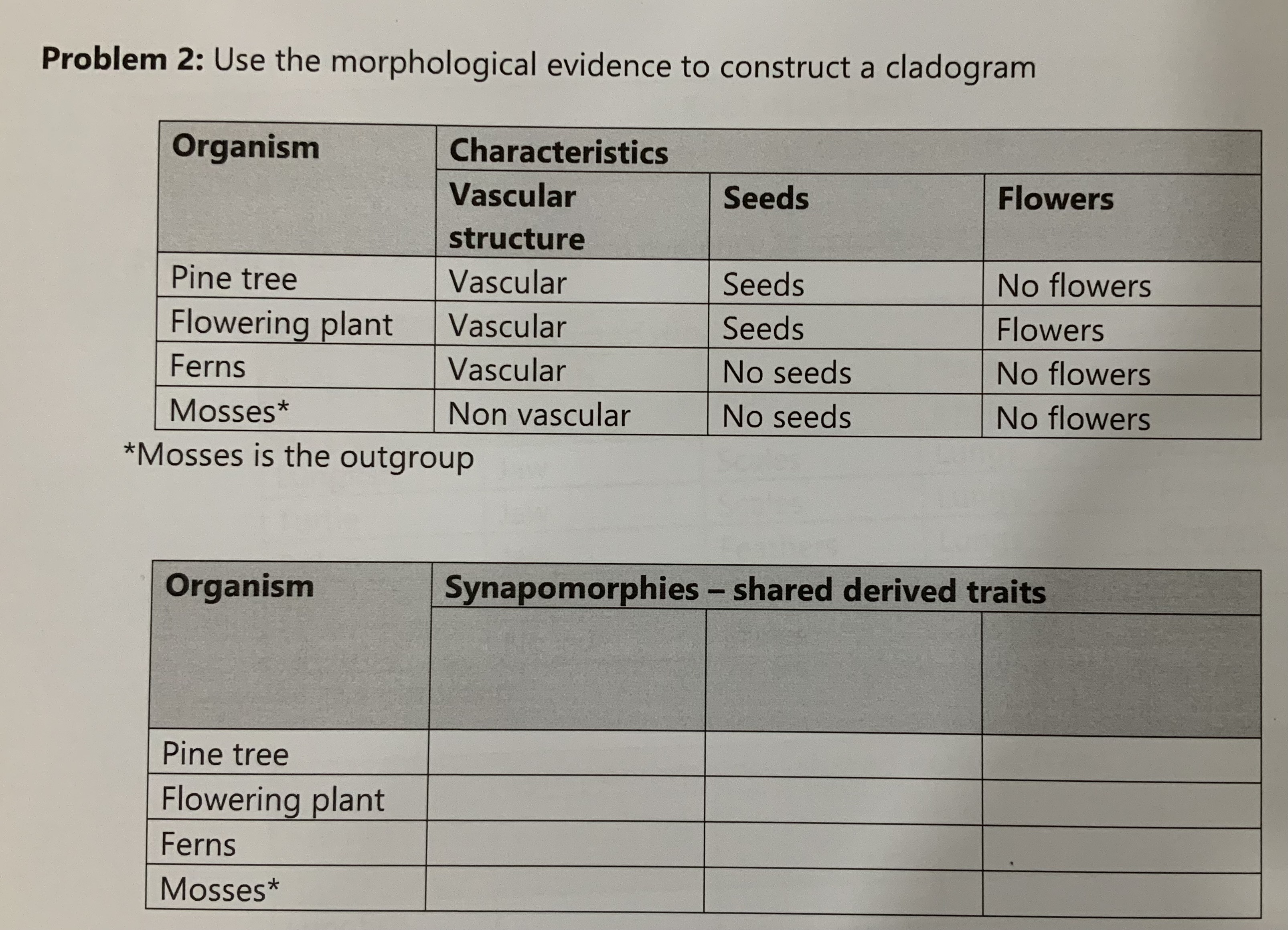 Solved Problem 2: Use the morphological evidence to | Chegg.com