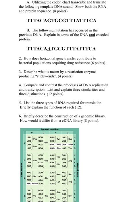 Solved A. Utilizing the codon chart transcribe and translate | Chegg.com