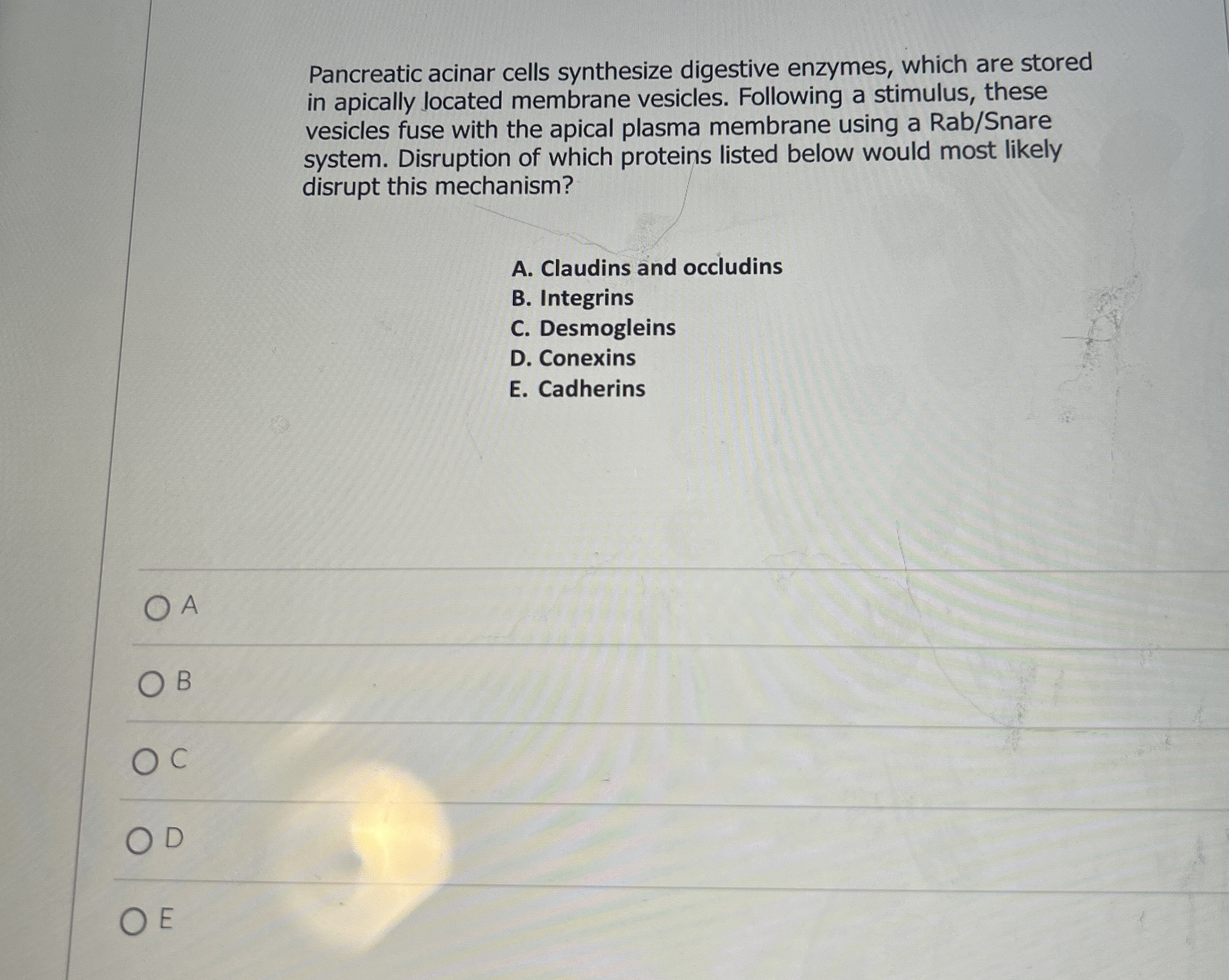 Solved Pancreatic acinar cells synthesize digestive enzymes, | Chegg.com