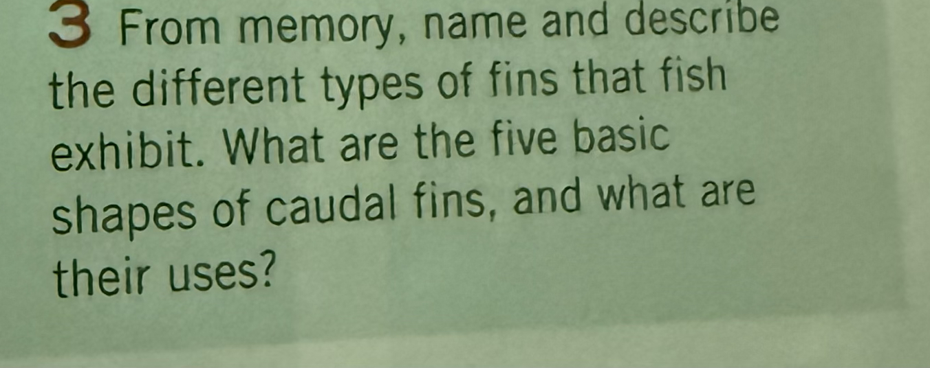 Solved 3 ﻿From memory, name and describe the different types | Chegg.com