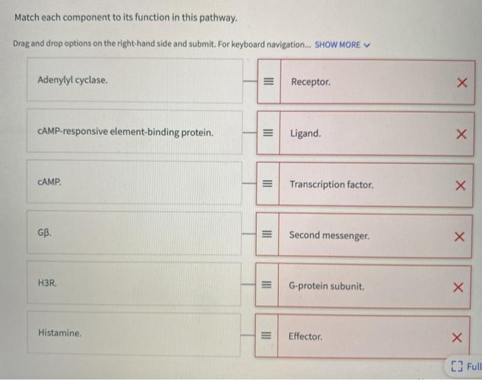 Solved Match each component to its function in this pathway. | Chegg.com